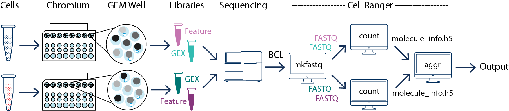 scDNA seq analysis (2) - cellRanger - 은하는 못말려